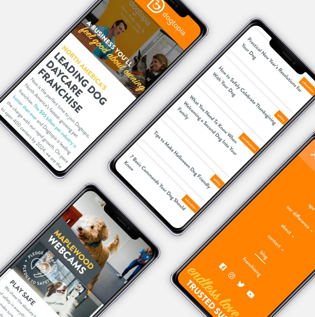 Dogtopia Digital Marketing Case Study - Reshift Media